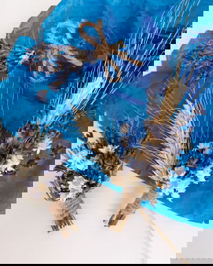 Idei cocarde mire | Breslo