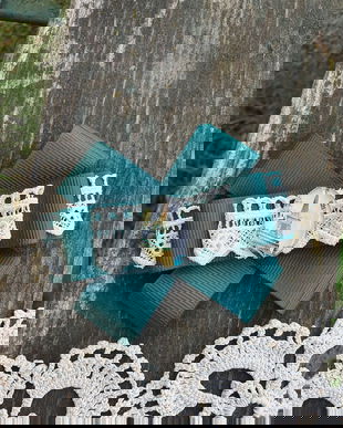 Brosa papion cu fluture, Brosa eleganta pentru gat | Breslo