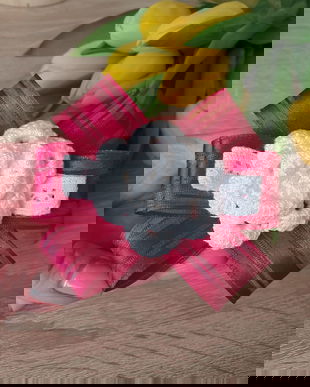 Brosa papion cu fluture, Brosa eleganta pentru gat | Breslo