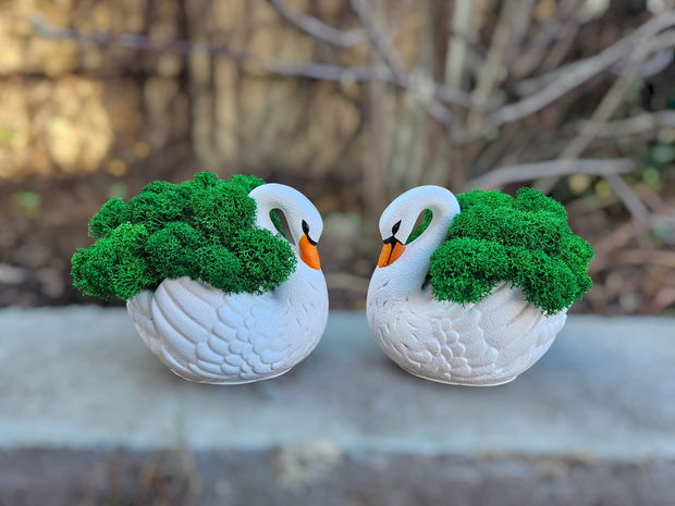 Lebede cu licheni "Familia" | Breslo