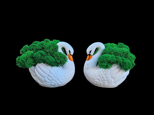 Lebede cu licheni "Familia" | Breslo