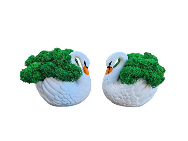 Lebede cu licheni "Familia" | Breslo