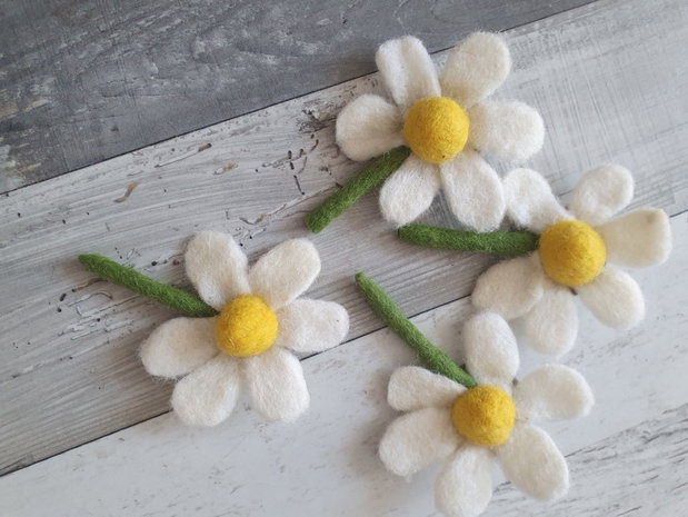HANDMADE MYGLAMI | Breslo