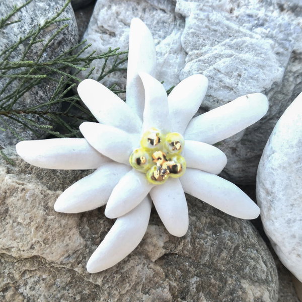 Brosa Floare de colt | Dichisar