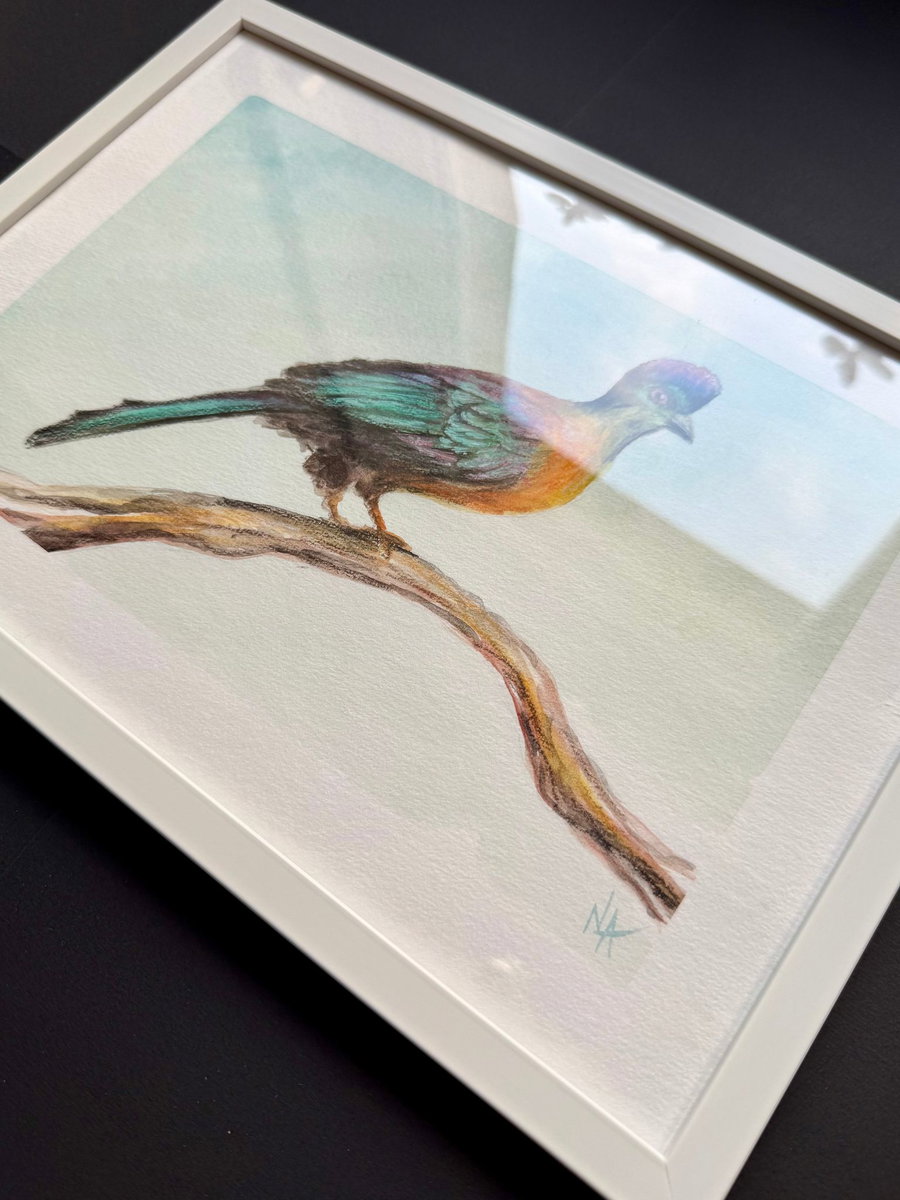 Ilustrație originală Pasăre Gallirex | Dichisar